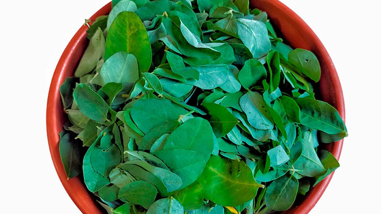 HOJAS DE CHIPILIN 170G
