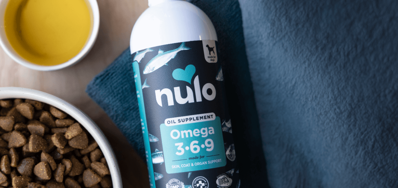 Pet Food Express Delivery