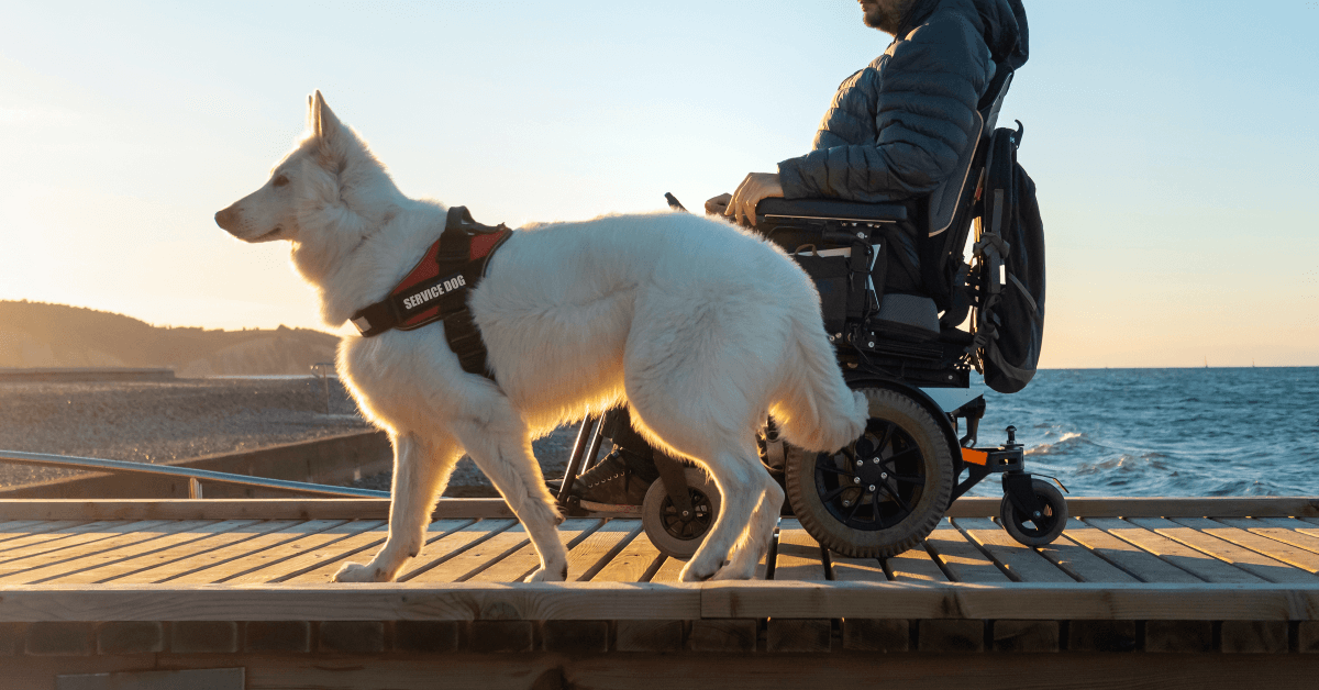 14 Helpful Jobs for Animals