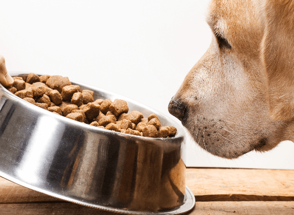 Five Surprising Facts About Pet Kibble