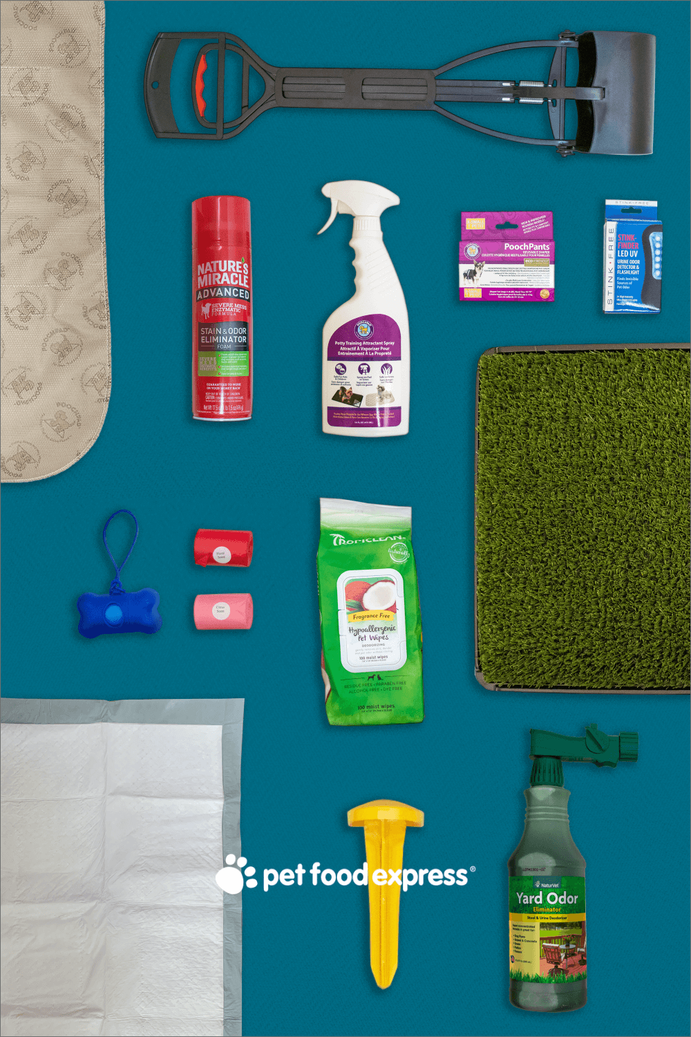 Potty Time 101: A Guide to Dog Poop and Pee