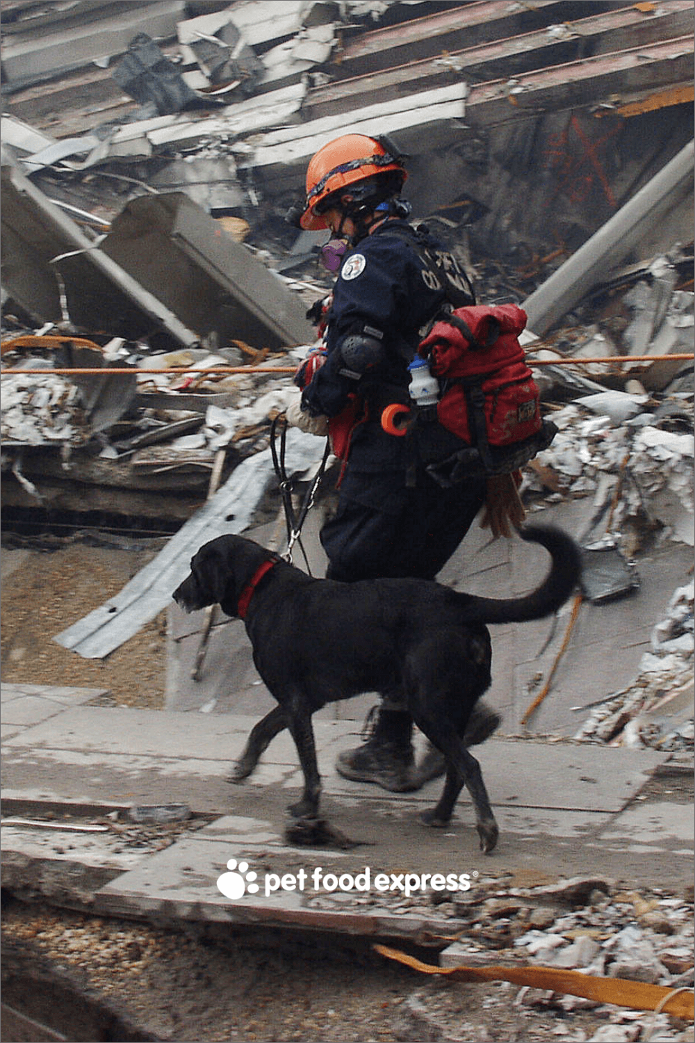 Honoring Canine First Responders