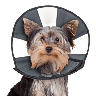ZenCone Soft Recovery Dog Cat Collar