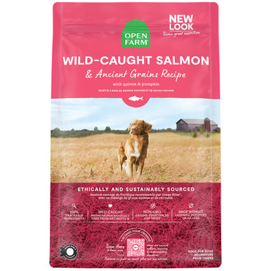 Open Farm Wild-Caught Salmon & Ancient Grains Recipe w/ Quinoa ...
