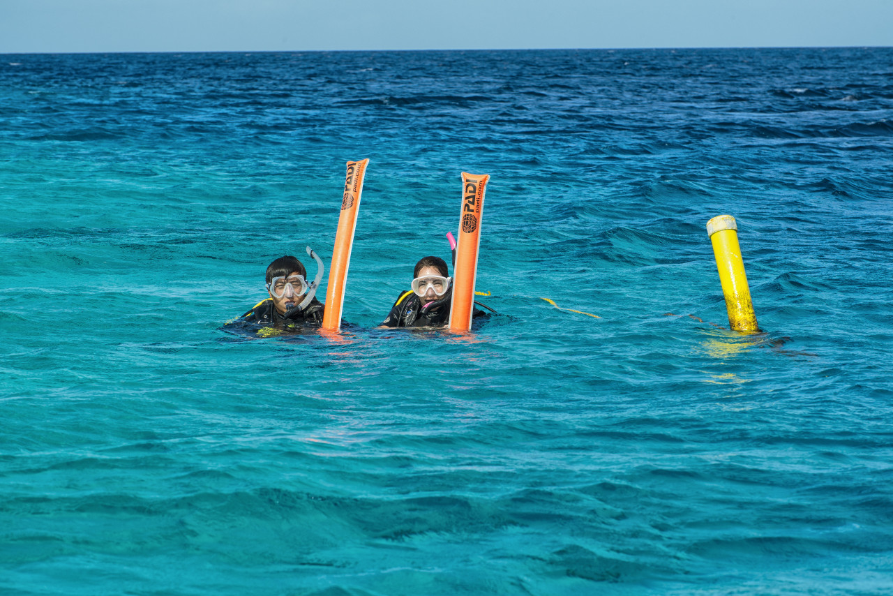 PADI Delayed Surface Marker Buoy (DSMB) Diver