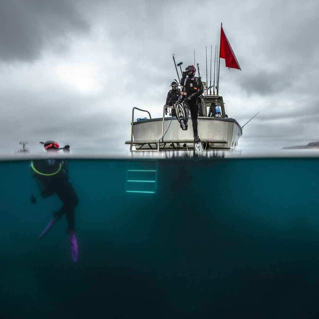 PADI Search and Recovery Diver