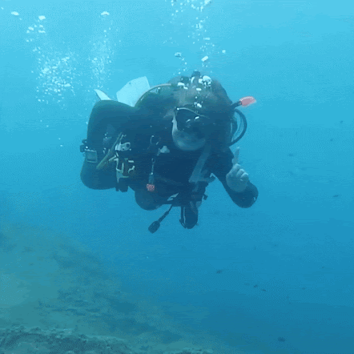 6 Reasons Why YOU Should Log Your Dives! - Aquasport