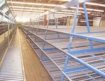 Material Flow - Case Flow Rack Systems.
