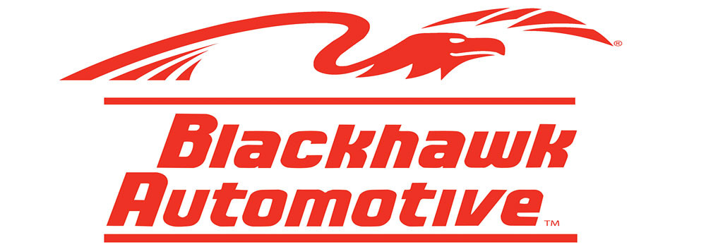 Blackhawk B65740 20 Ton Ram With 6" Stroke With B65582 Coupler, Threaded