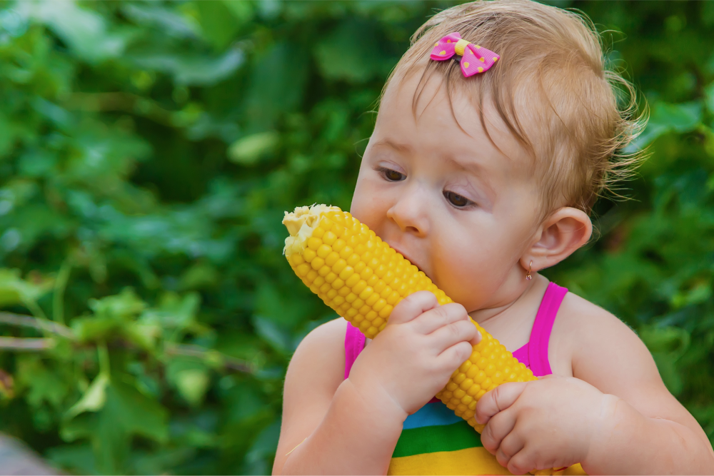 The Benefits of Chewing (Backed by Research) - Myo Munchee (Operations ...