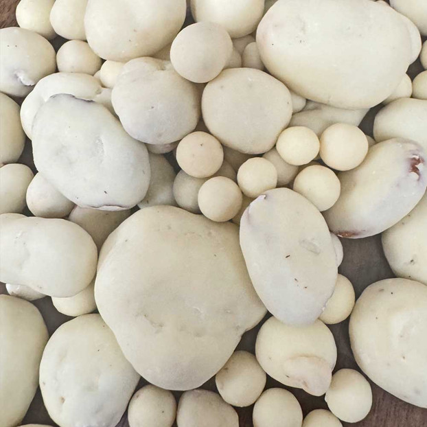 Aww, Nuts! Chocolate Covered Pecans | Priester's Pecans
