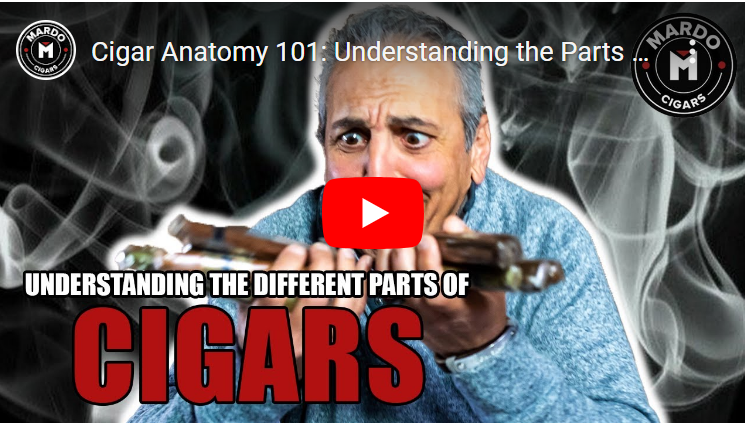 Learn Cigar Anatomy 101 | Understanding Your Cigar Parts - Mardo Cigars