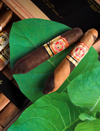 Mardo Cigars | VIP Smoke Shop Boutique