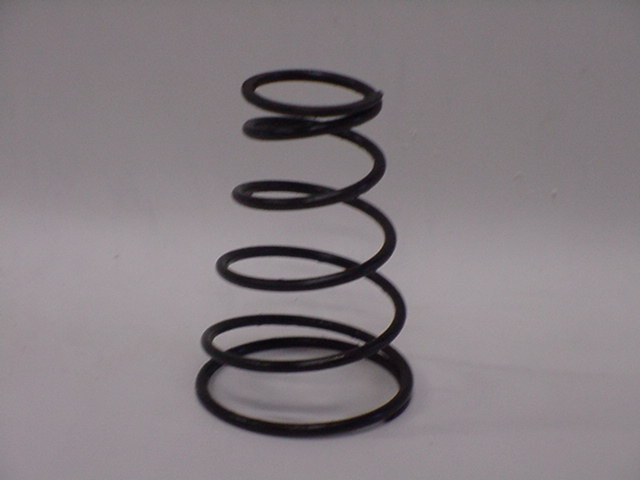 Shifter spring