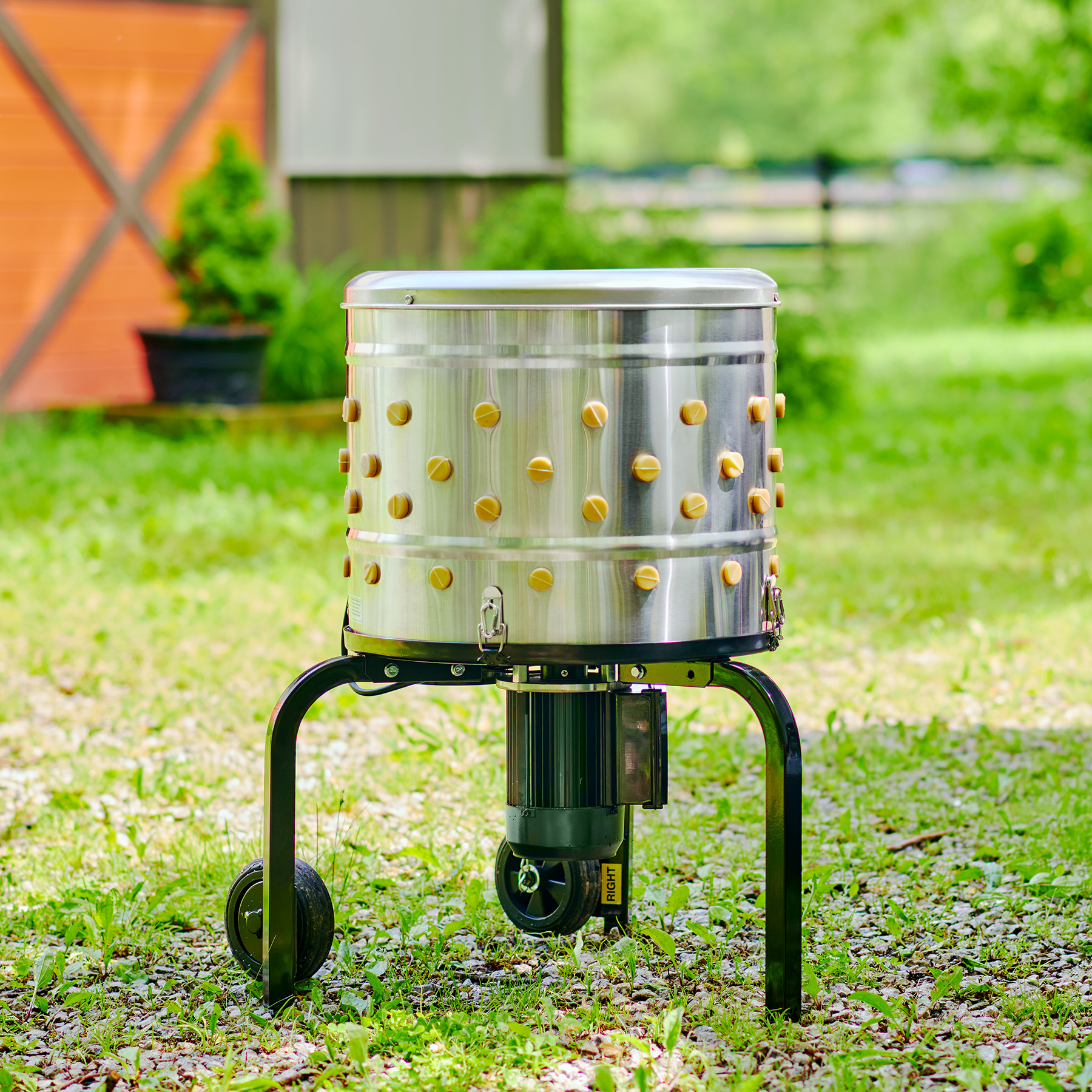 The Stainless Steel Poultry Plucker: Perfect Feather Removal - Roots ...