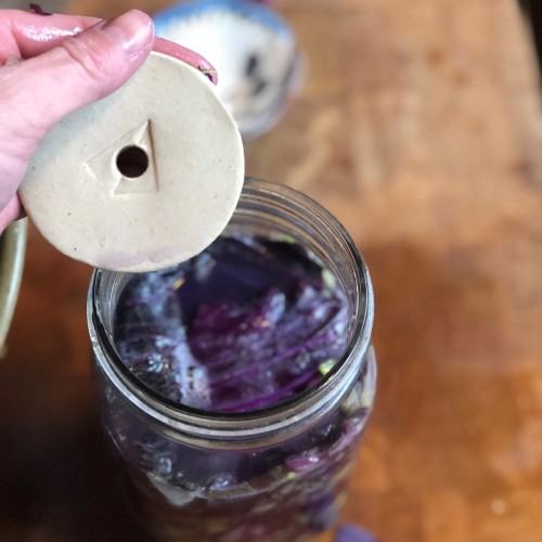 Mason Jar Fermentation Done Right - Roots & Harvest®