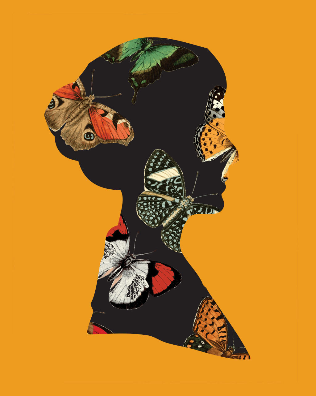 Metamorphosis Art And Design