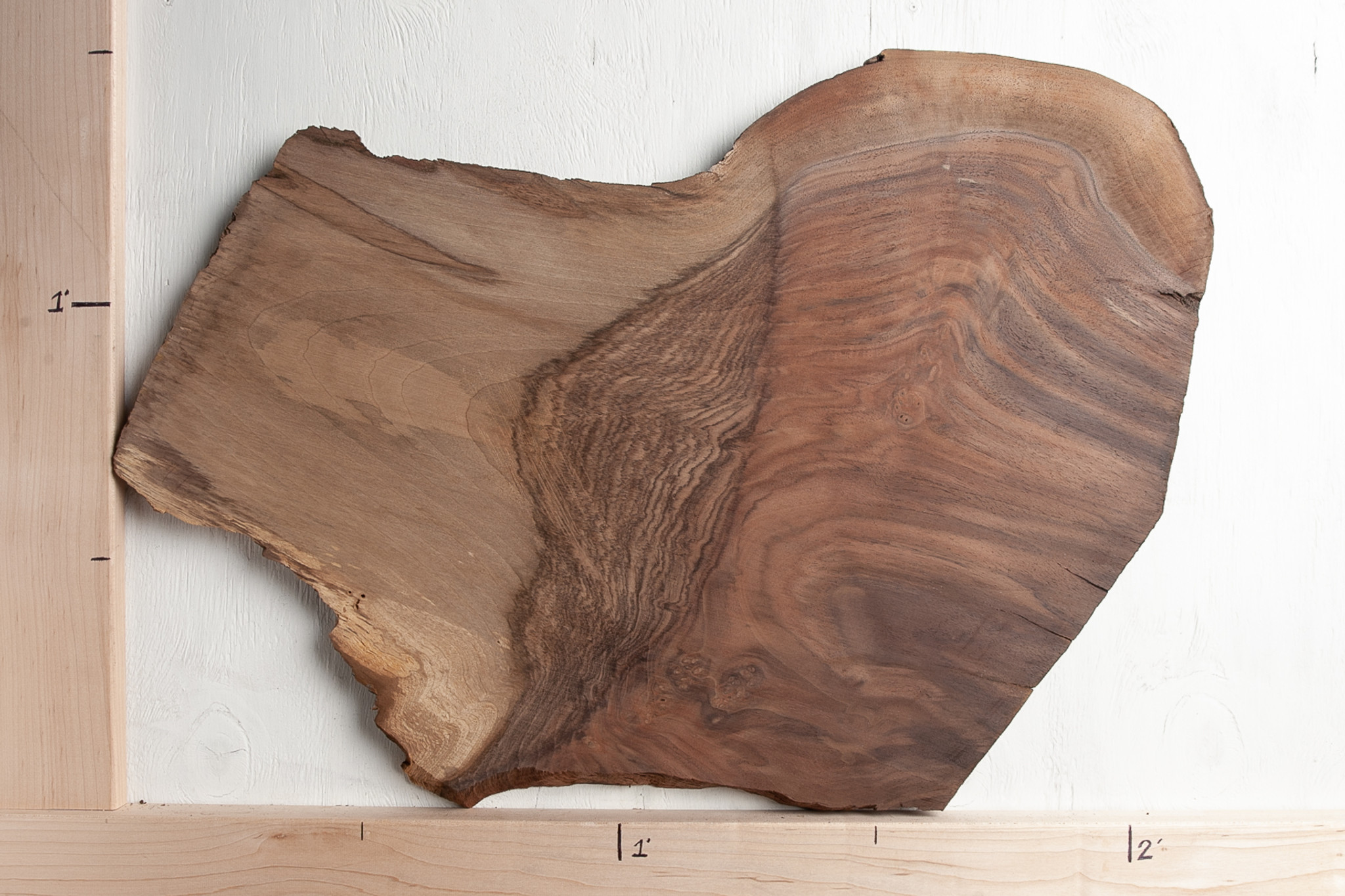 Claro Walnut Burl Slice #217