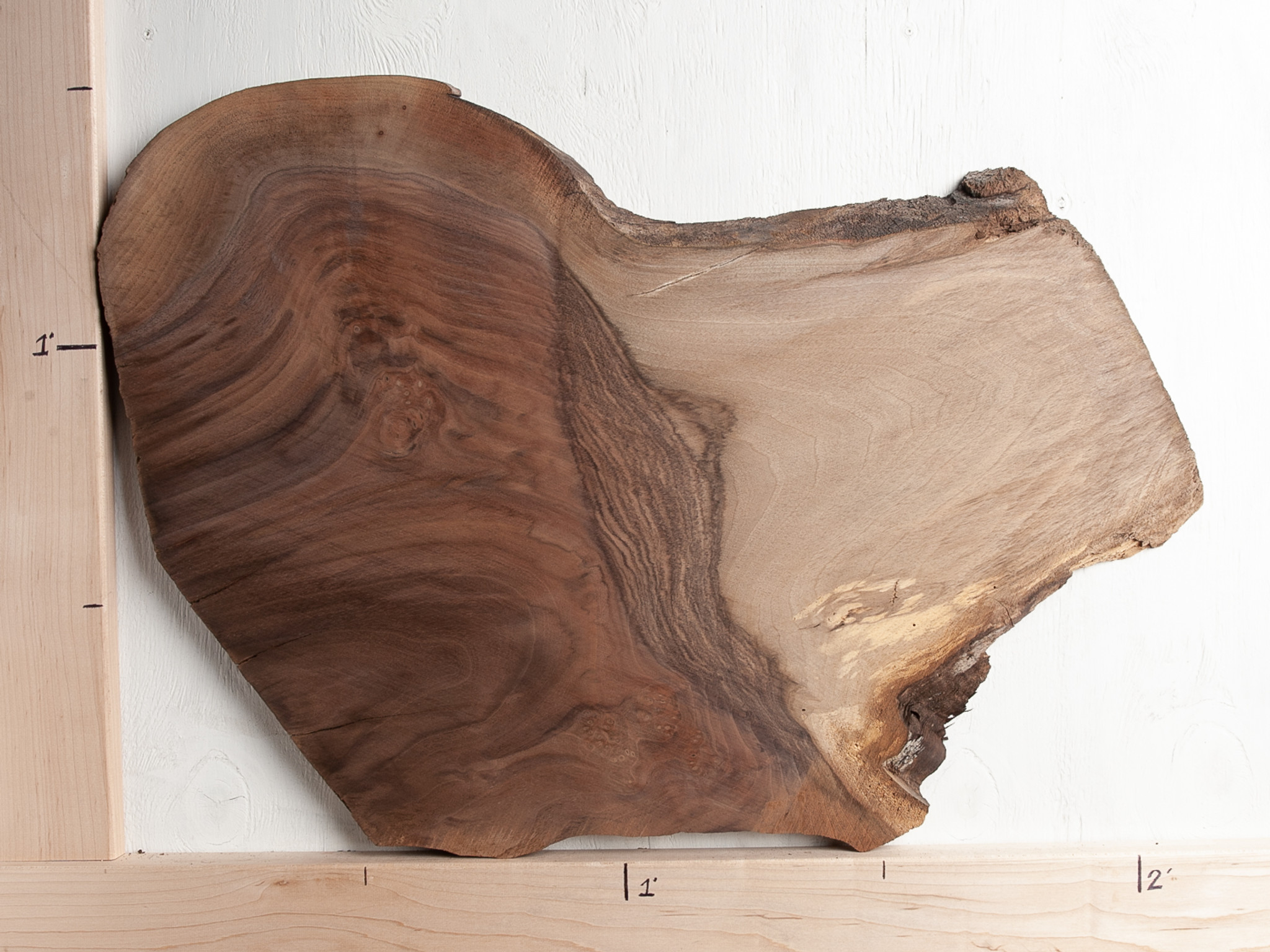 Claro Walnut Burl Slice #217