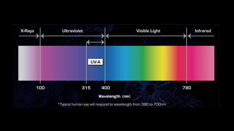 DarkFX Spot 1750 UV LED Spot - Ultimate High-Performance UV Lighting ...