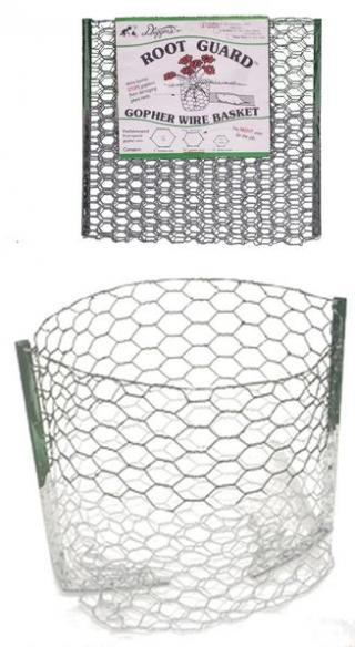 Digger's Root Guard Gopher Basket - Devil Mountain Wholesale Nursery