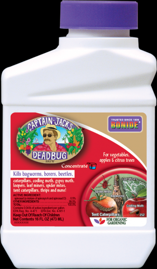 Plant Catalog - Dry Goods - Page 1 - Devil Mountain Wholesale Nursery