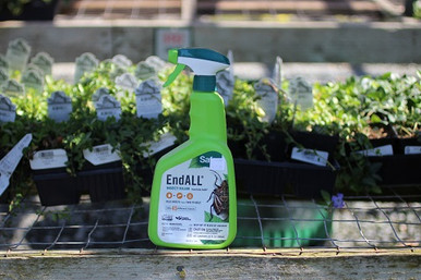 Safer End All Insect Killer - Devil Mountain Wholesale Nursery