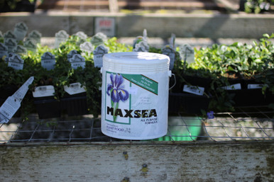 Maxsea All Purpose Plant Food - Devil Mountain Wholesale Nursery