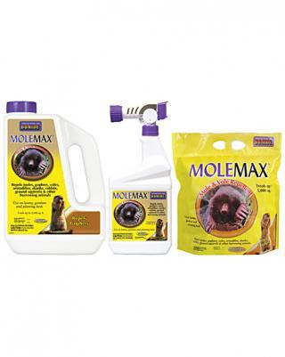 Bonide Molemax Repellent - Devil Mountain Wholesale Nursery