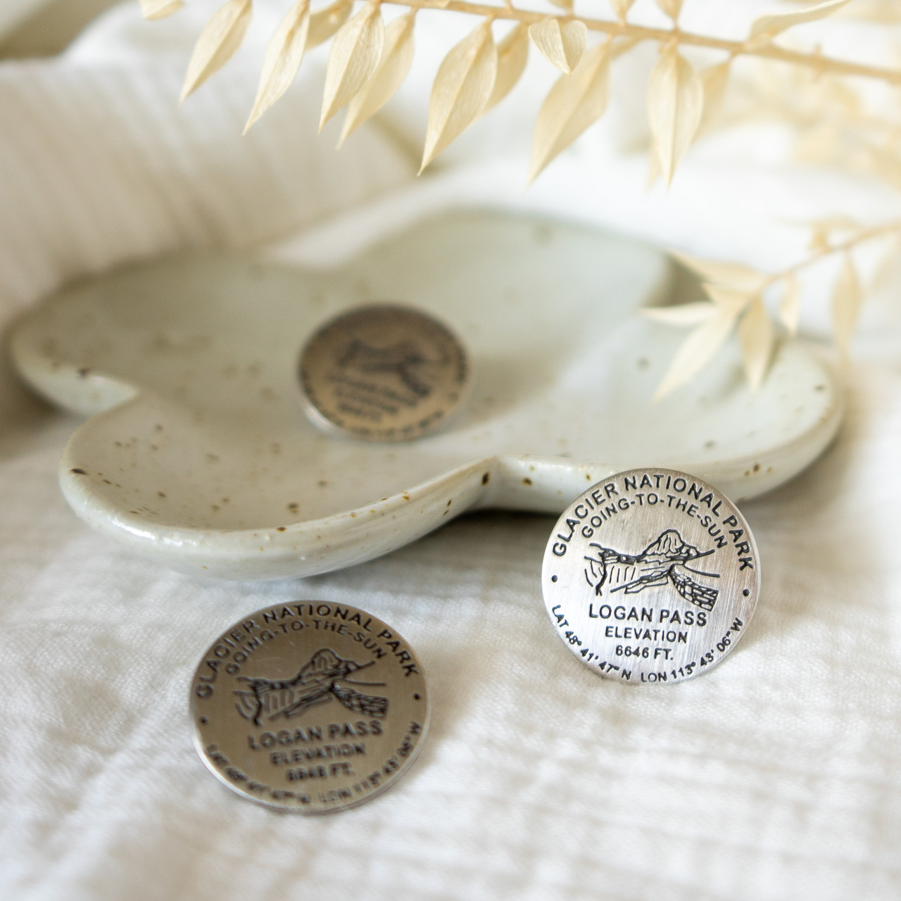 Logan Pass Benchmark Pin Glacier National Park Conservancy