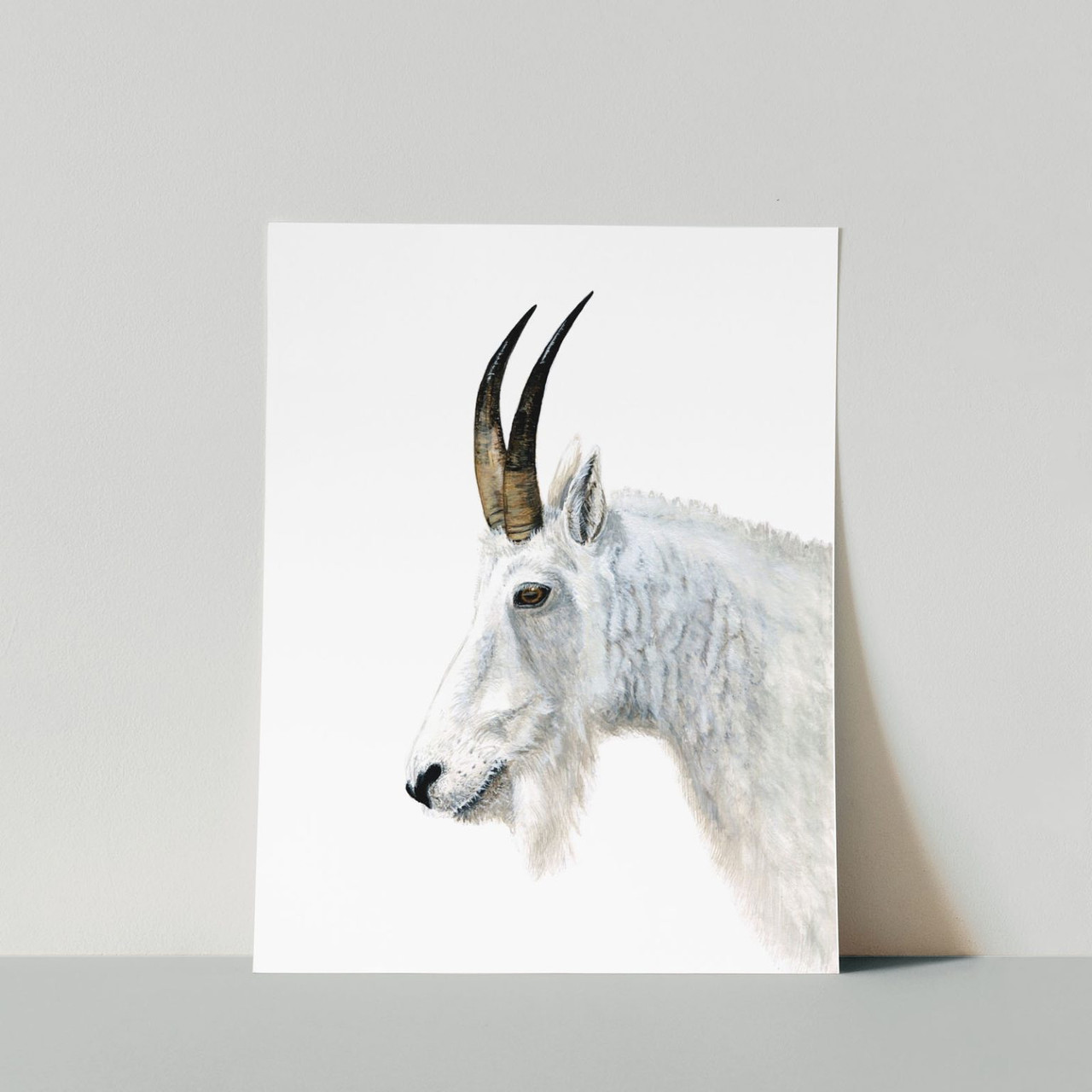 Mountain Goat Print - Glacier National Park Conservancy