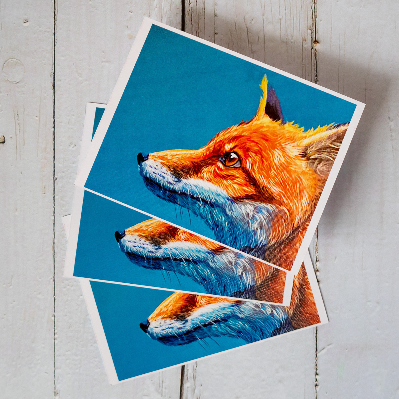 Fox Postcard - Glacier National Park Conservancy