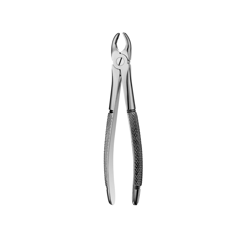1 Serrated Upper Anteriors Extraction Forceps
