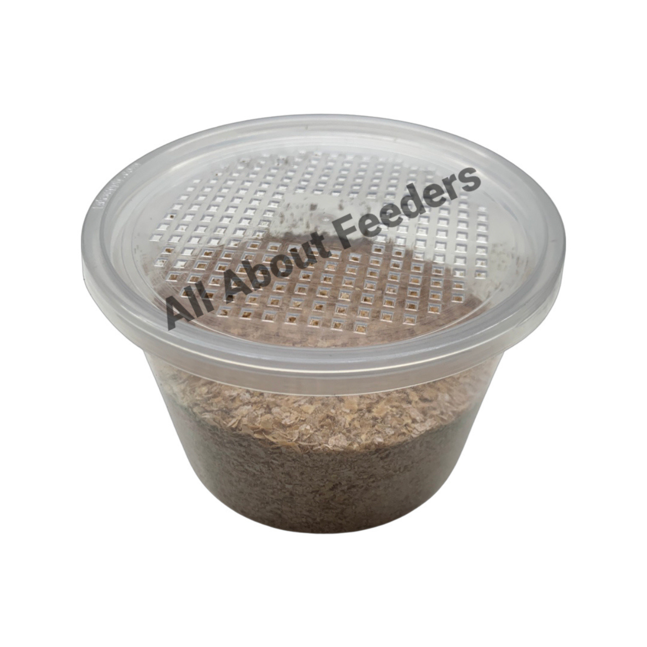 Mealworms | All About Feeders