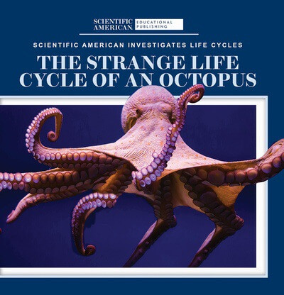 Buy The Strange Life Cycle of an Octopus in Bulk