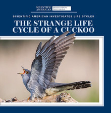 Buy The Strange Life Cycle of a Cuckoo in Bulk