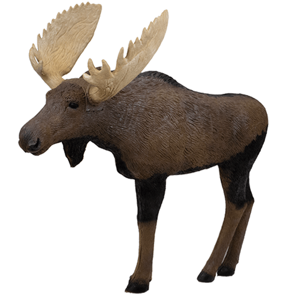 Rinehart 1/3 Scale Signature Moose 3D Target - Heights Outdoors