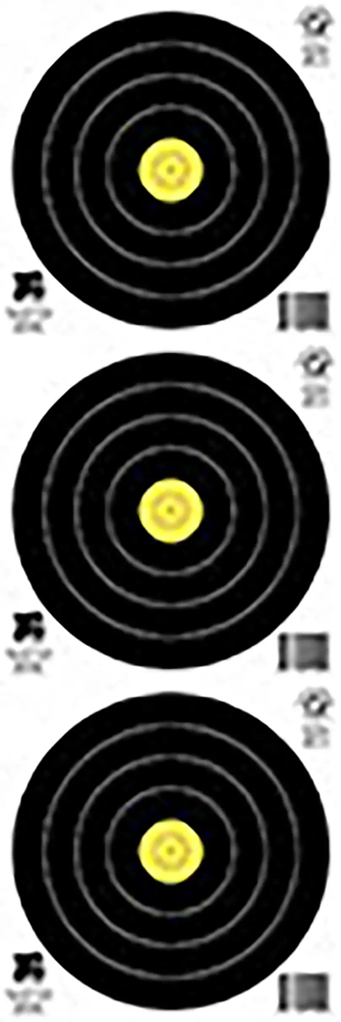 Maple Leaf Field 20cm 3 Spot Vertical Target Face - Heights Outdoors