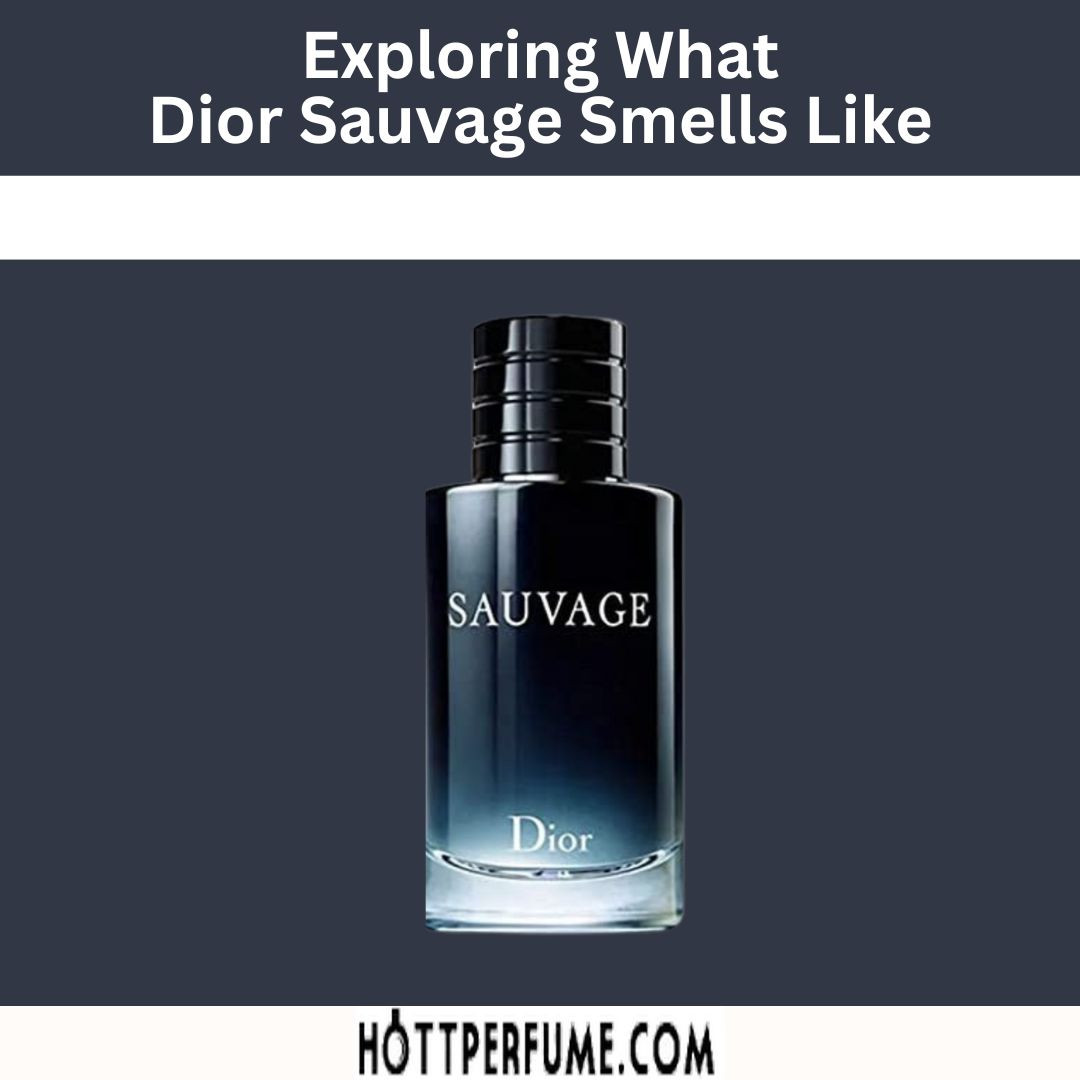 Exploring What Dior Sauvage Smells Like - HottPerfume.com