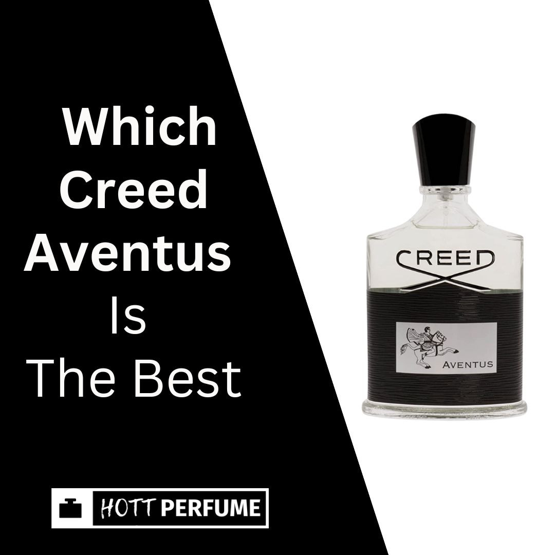 Which Creed Aventus Is The Best - HottPerfume.com