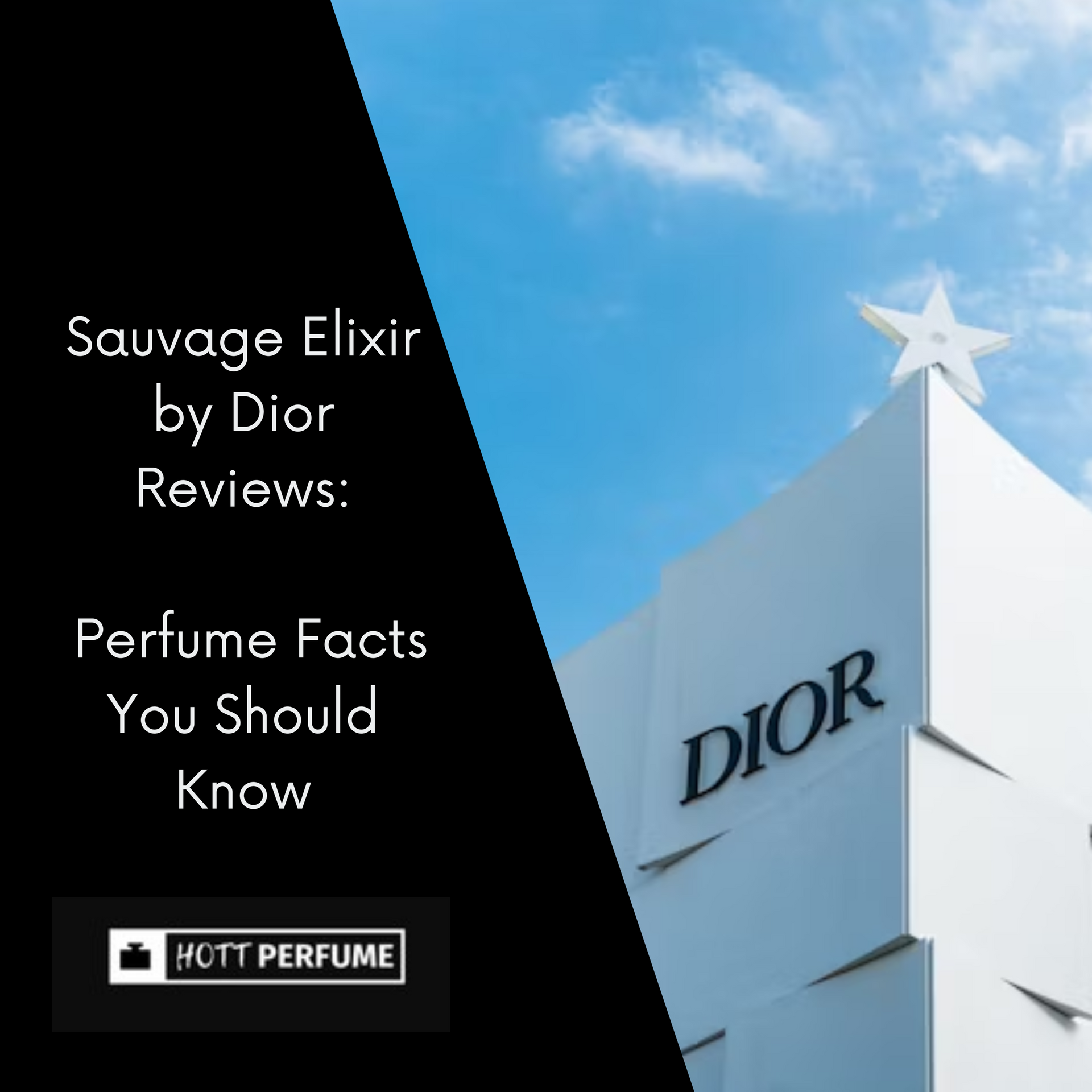 Sauvage Elixir by Dior Reviews: Perfume Facts You Should Know ...