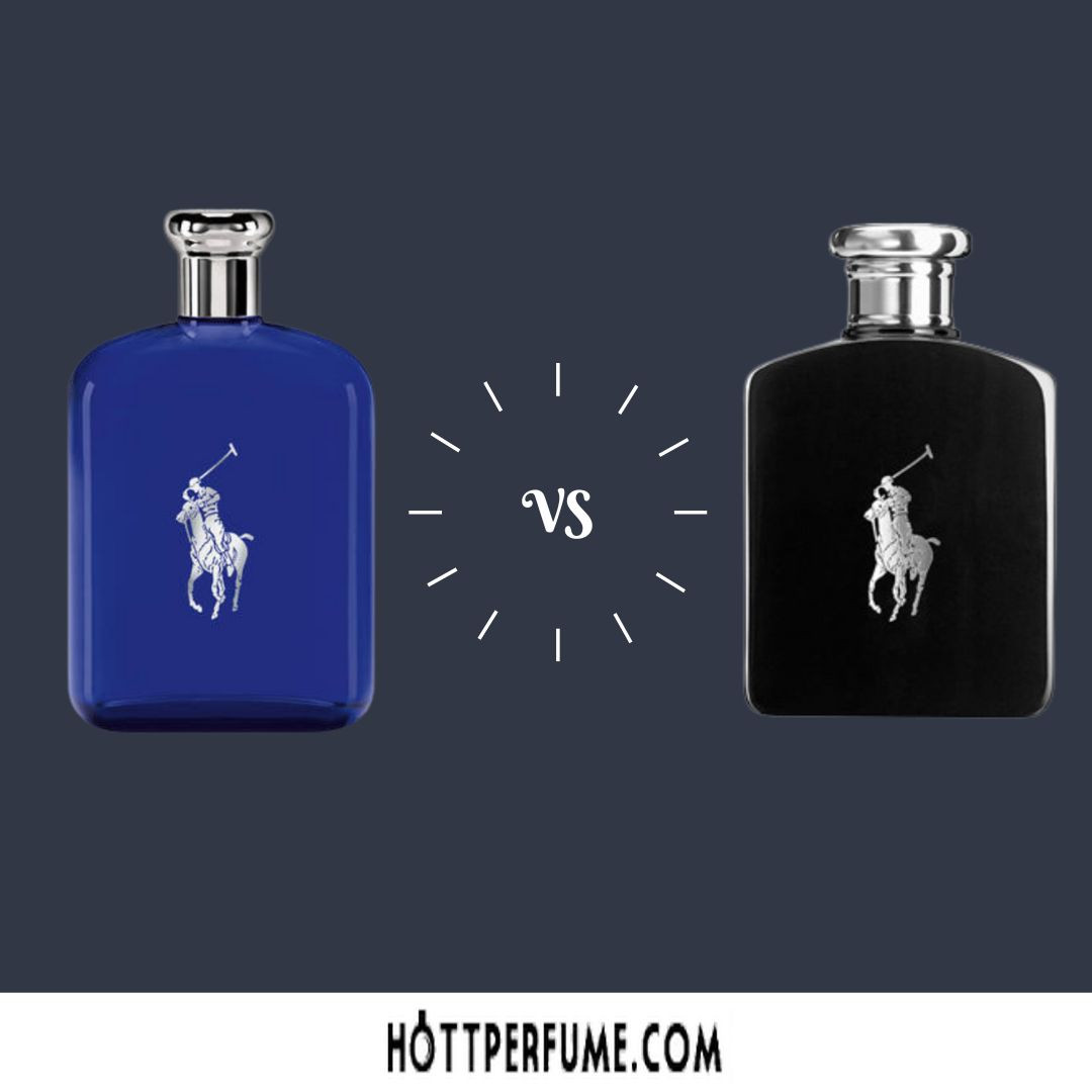 Polo Blue vs Polo Black: The Fragrance Challenge - HottPerfume.com