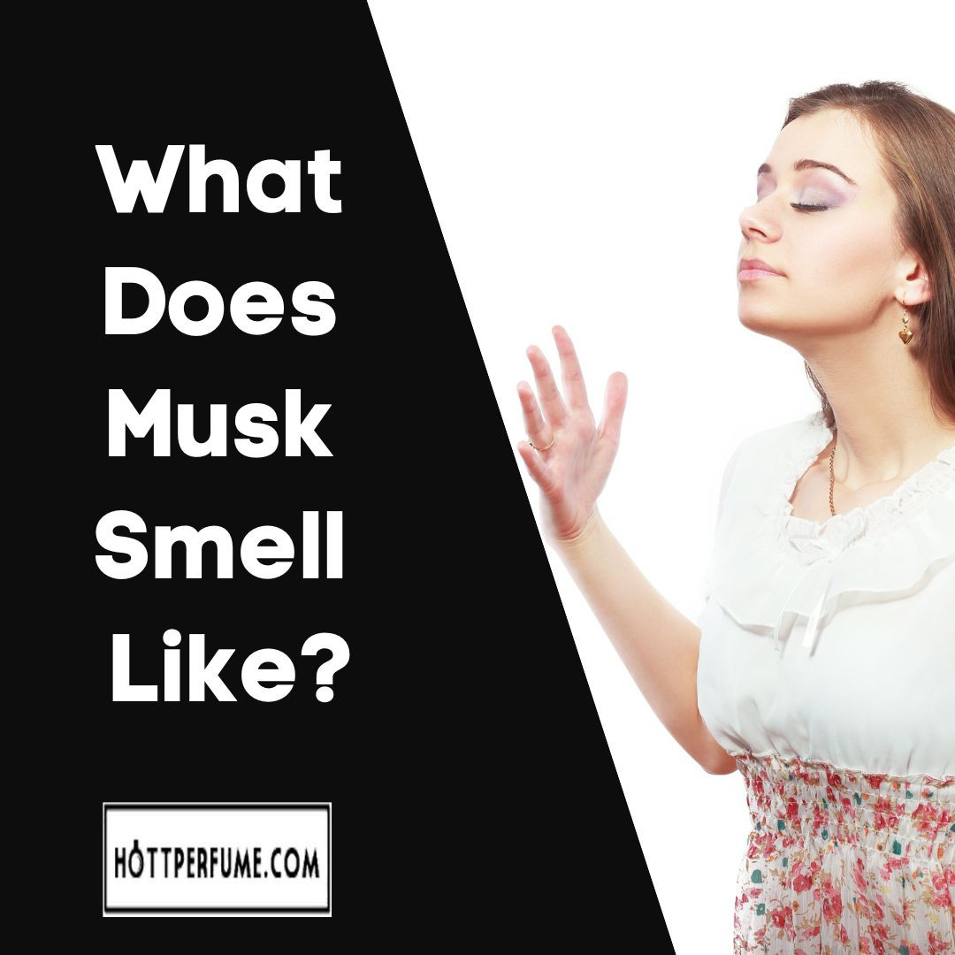 What Does Musk Smell Like? - HottPerfume.com