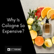 Why Is Cologne So Expensive? - HottPerfume.com