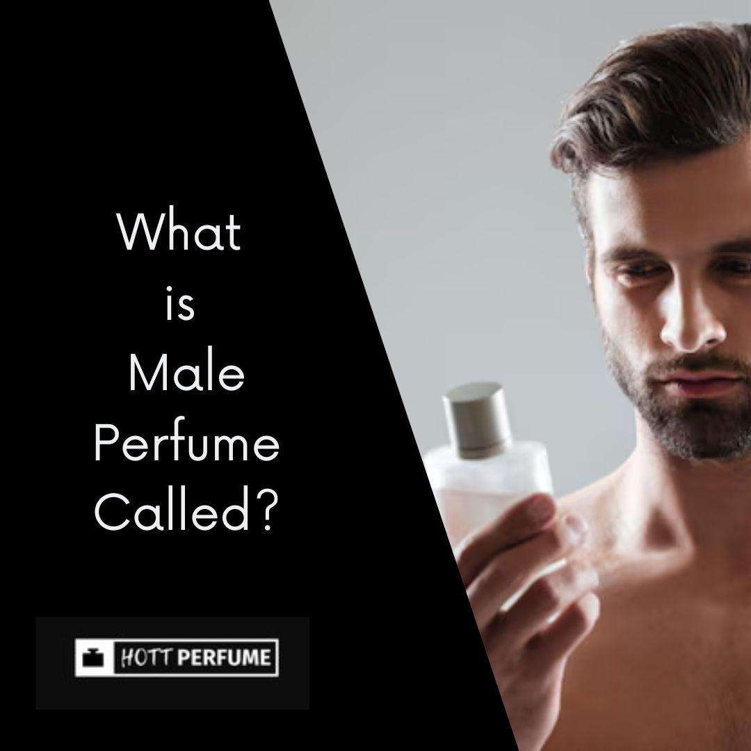 What is Male Perfume Called? - HottPerfume.com