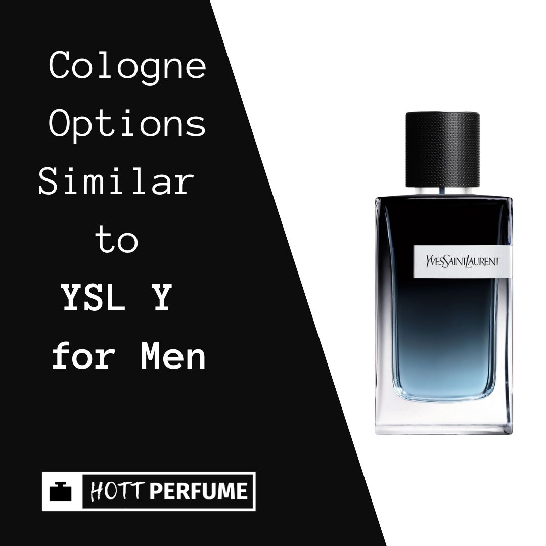 Cologne Options Similar to YSL Y for Men - HottPerfume.com