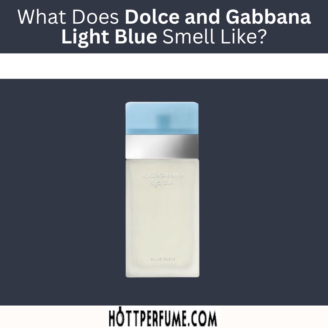 What Does Dolce and Gabbana Light Blue Smell Like? - HottPerfume.com