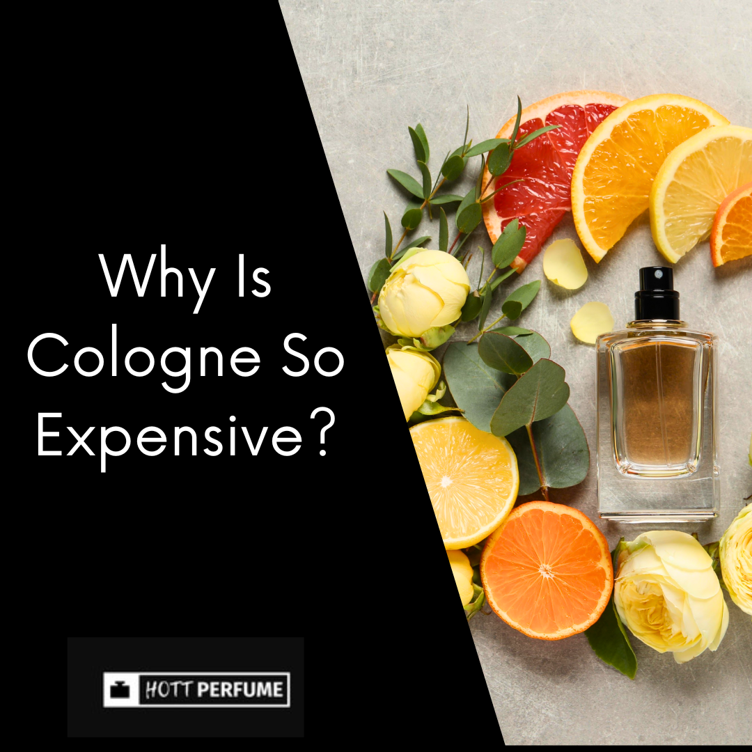 Why Is Cologne So Expensive? - HottPerfume.com