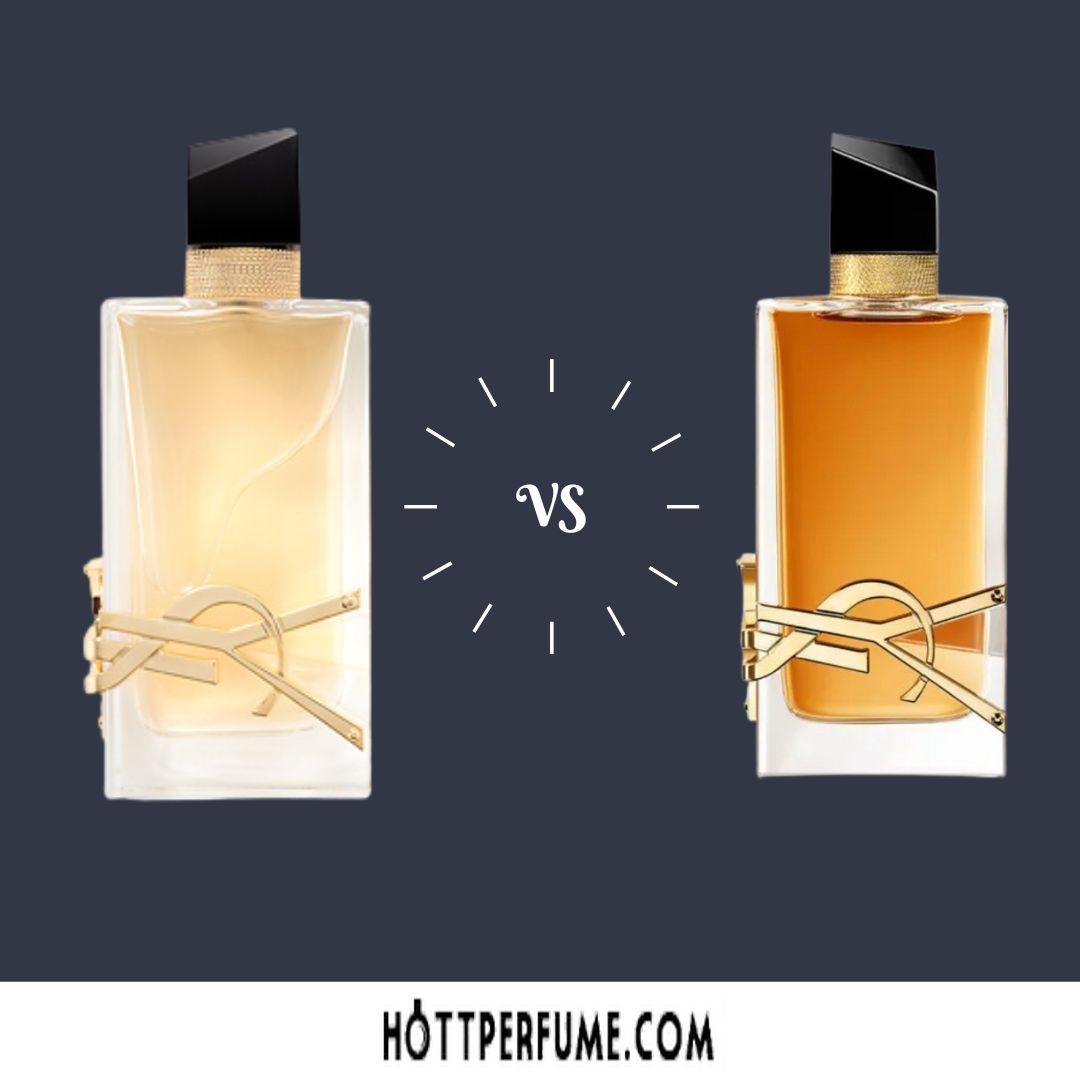 YSL Libre vs Libre Intense: Key Differences - HottPerfume.com