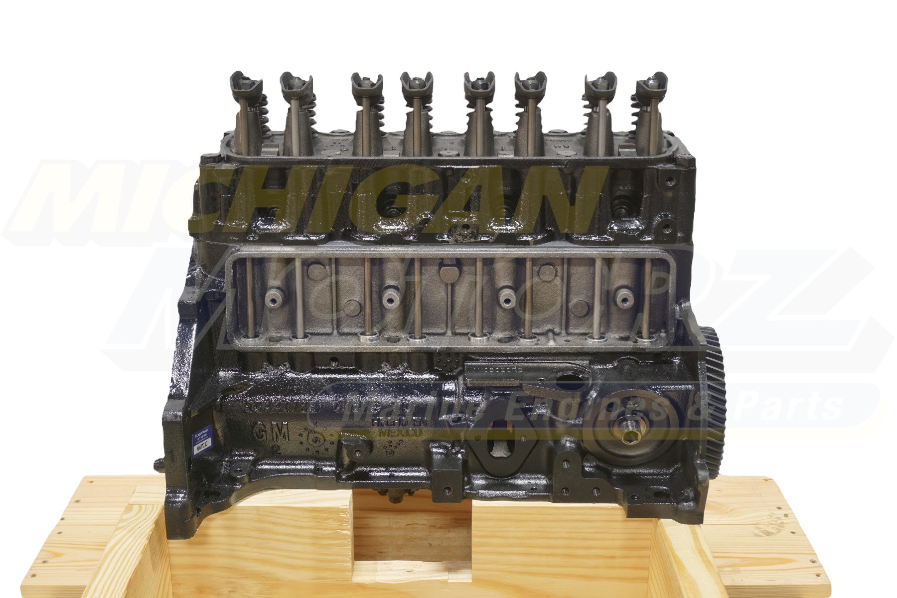 3.0L Marine Engine (1990-2018) - Michigan Motorz LLC